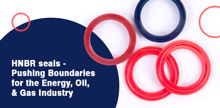 HNBR seals - Pushing Boundaries for the Energy, Oil, & Gas Industry ...